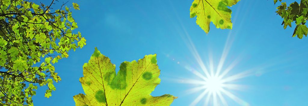 Omega Environmental Services Environment